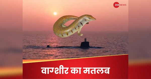 submarine Vagsheer is named on this sand fish who located in Hind ...