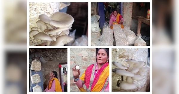 Sheela Devi changed her Kismat by selling mushrooms in Bhagalpur | पहले ...