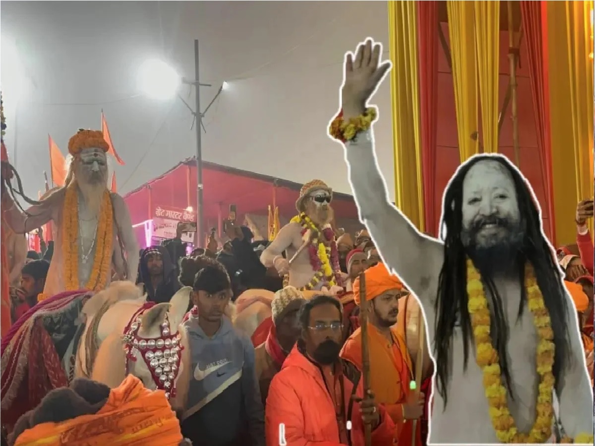 maha kumbh mela naga sadhu story sanyasi baba engineer jaipur bihar ...