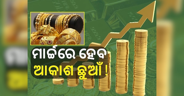 how much gold price increased in this week and which cities rate ...