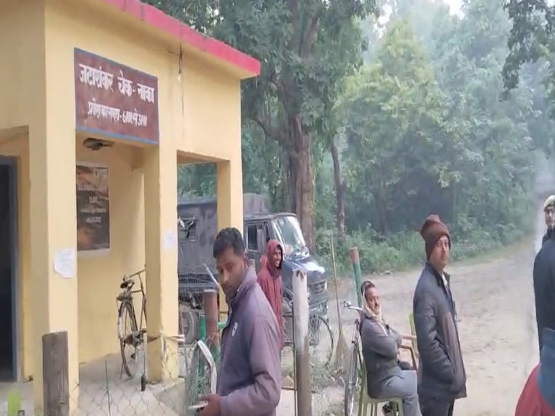 valmiki tiger reserve bird hornbill changes children diapers like human ...