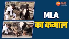 Latest News on श्योपुर | Read Breaking News on श्योपुर | Zee News Hindi
