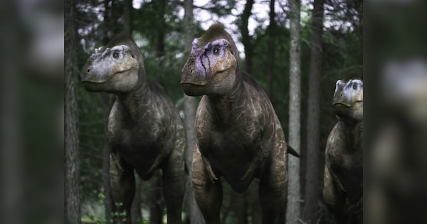 When and where first dinosaur appear Scientists discovered dinosaur ...