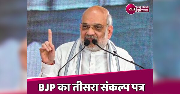 Delhi BJP Third Manifesto: बीजेपी का तीसरा घोषणा पत्र जारी, 10 लाख का ...