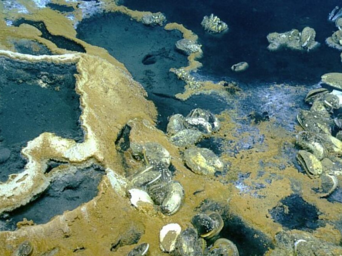 Jacuzzi of death deadly ocean pool in gulf of mexico that kills ...