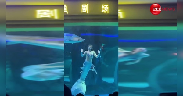 woman perform as a mermaid in water suddenly huge fish eat her head ...