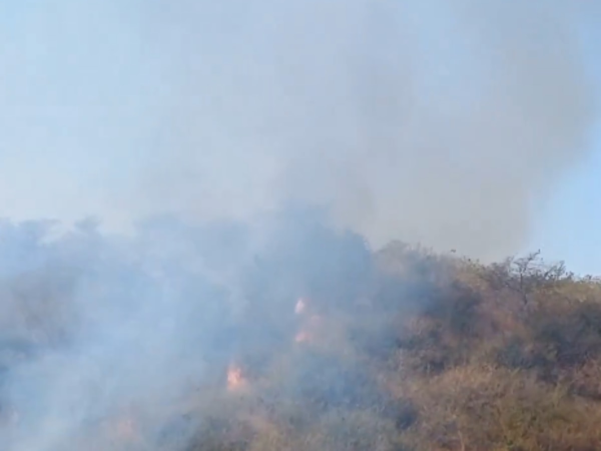 Aravali Jungle Fire: अरावली के जंगलों में आग से मचा तांडव, घने जंगलों ...