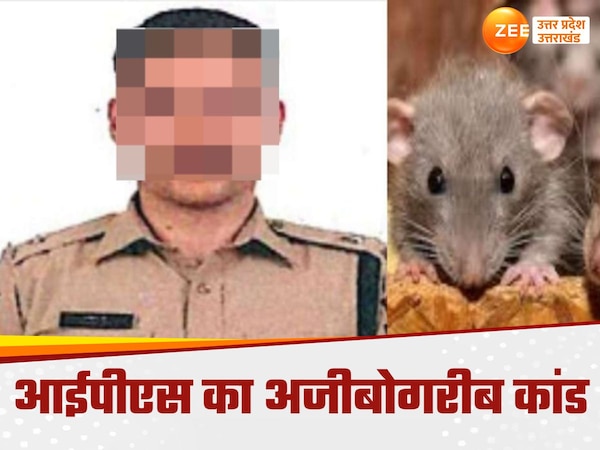 Moradabad trainee IPS killed rats and took off clothes on republic day ...