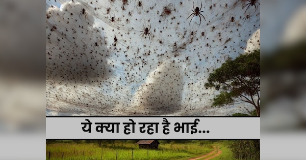 hundreds of spiders raining from sky of brazil reason is socking | इस ...