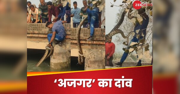 Viral Video : अजगर को नहर से खींच रहा था शख्स, ऊपर आते ही कर दिया कांड ...