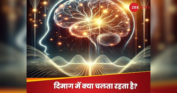 first recording dying human brain reveals what happens before death ...