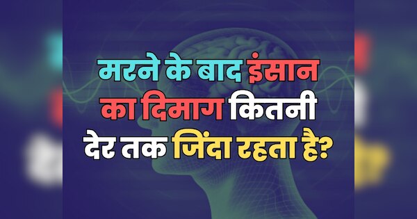Trending Quiz क्या आप जानते हैं मरने के बाद इंसान का दिमाग कितनी देर