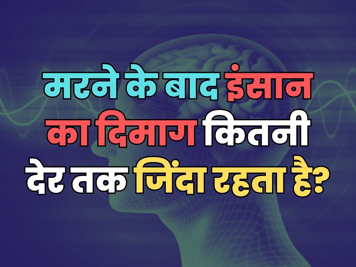 Trending Quiz क्या आप जानते हैं मरने के बाद इंसान का दिमाग कितनी देर