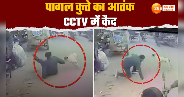 mad dog bite several people in pilkhuwa of hapur watch cctv video | Mad Dog Video: एक, दो नहीं ...