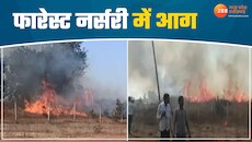 Latest News on दमोह | Read Breaking News on दमोह | Zee News Hindi