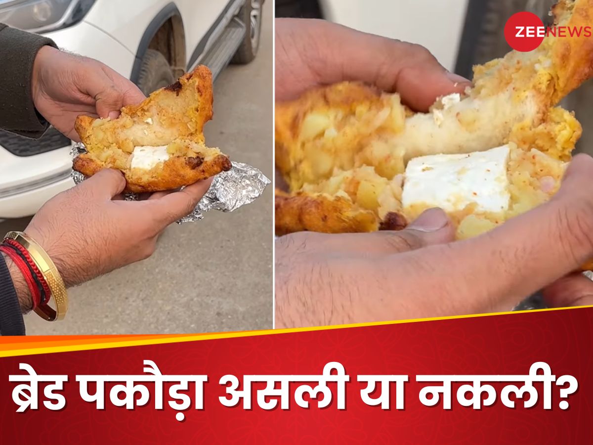 paneer bread pakora real or fake video viral nikhil saini instagram ...