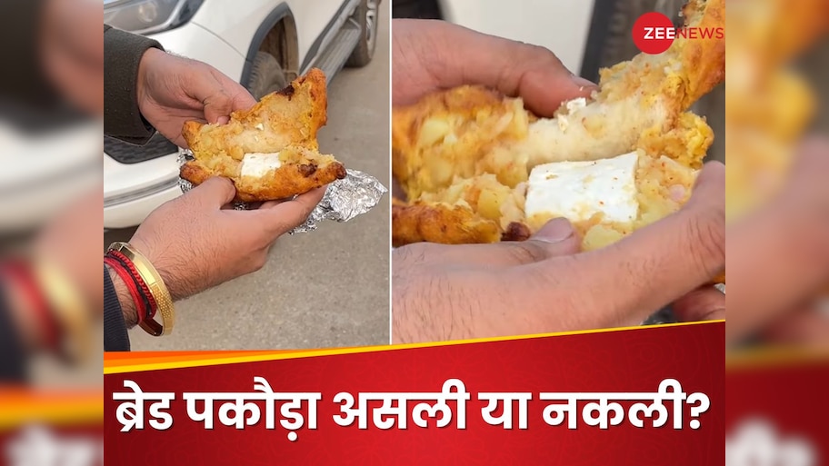 paneer bread pakora real or fake video viral nikhil saini instagram ...