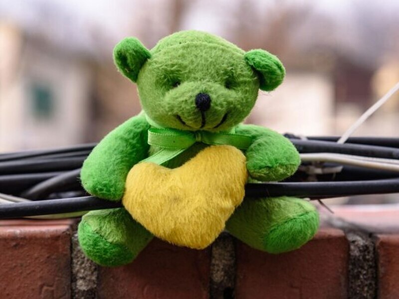 Teddy Bear Different Colour Meaning 10 February Valentine Week 2025 ...