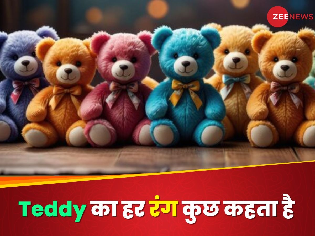 Teddy Bear Different Colour Meaning 10 February Valentine Week 2025 ...