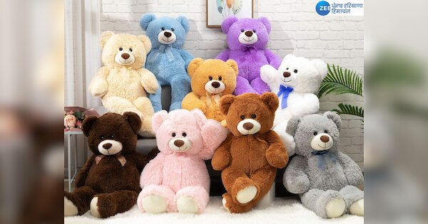 Teddy Day 2025 Which color to gift your partner Know meaning of ...