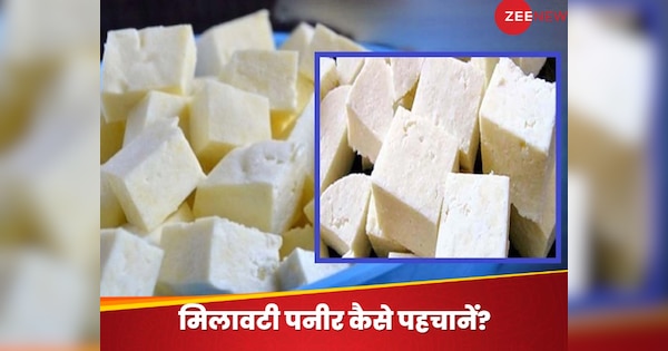 How to Identify Adulterated Paneer know the 5 simple Tricks here ...