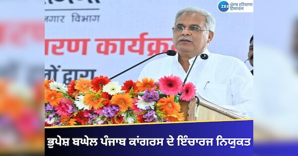 Chhattisgarh ex cm Bhupesh Baghel appointed incharge of Punjab Congress ...
