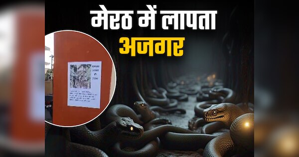 Pythons Found in meerut jagrati vihar and kirti palace area as missing posters pasted at walls ...