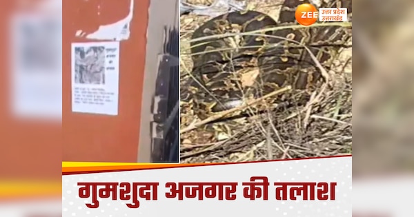 30 feet long python missing in meerut posters offering cash for information watch video | मेरठ ...