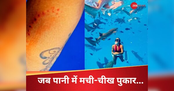 maldives shark attacks snorkeler leaving her with giant teeth marks on ...