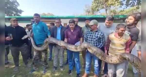 Giant Python Found in Ramnagar Uttarakhand Forest area | Python Video: 25 फिट लंबे अजगर ने ...