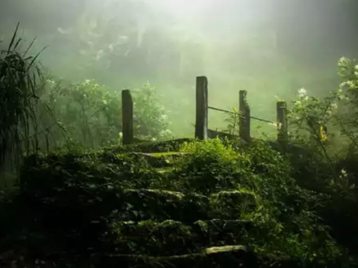 mp tourism destinations mysterious facts about patalkot valley in ...