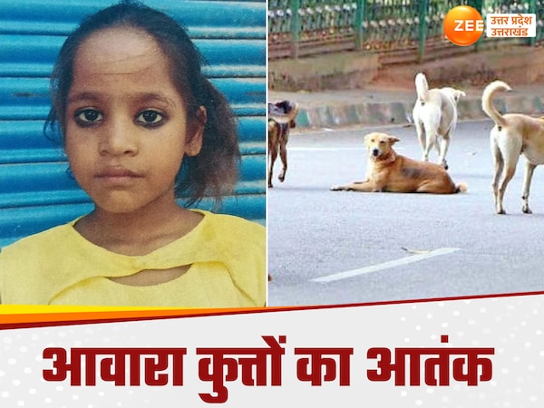 Stray dogs attacked 8 year old girl and killed her in bahraich | Bahraich News : 8 साल की मासूम ...