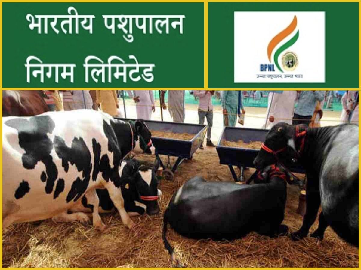 BPNL Recruitment 2025 Apply for 2152 posts in Bharatiya Pashupalan ...