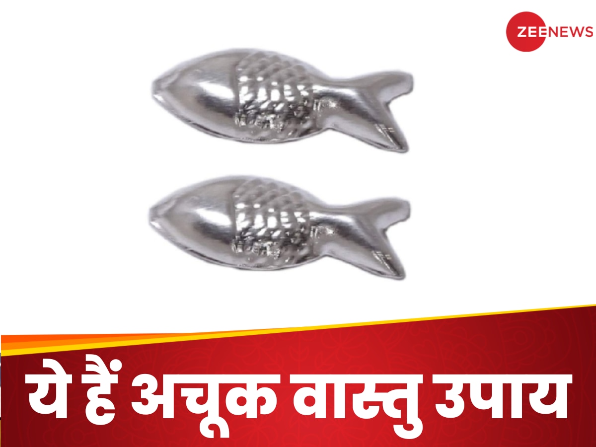 Vastu Tips of silver fish for Money and prosperity In Hindi ghar me ...