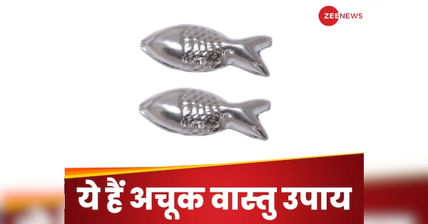 Vastu Tips of silver fish for Money and prosperity In Hindi ghar me ...