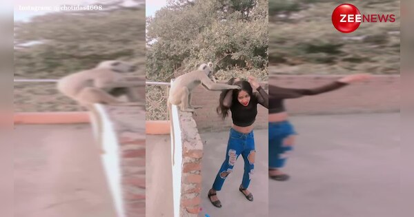 angry monkey pulling girl hair as she teased him while dancing on ...