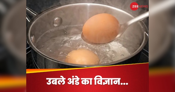 Egg ko kitni der tak ubalna chahiye | best way to cook egg | perfect ...