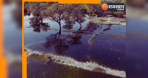 Rajasthan government will spend Rs 176 crore to free villages of Luni ...