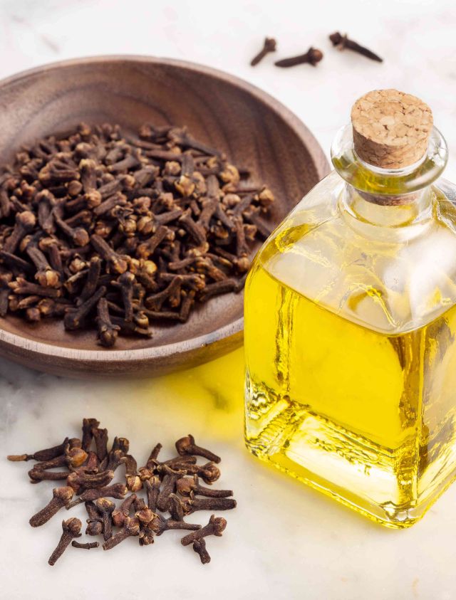 Clove Oil Benefits: ਤੁਹਾਡੀ ਧੁੰਨੀ ਚ ਲੁਕਿਆ ਹੈ ਸਿਹਤ ਦਾ ਰਾਜ਼, ਲੌਂਗ ਦਾ ਤੇਲ ...