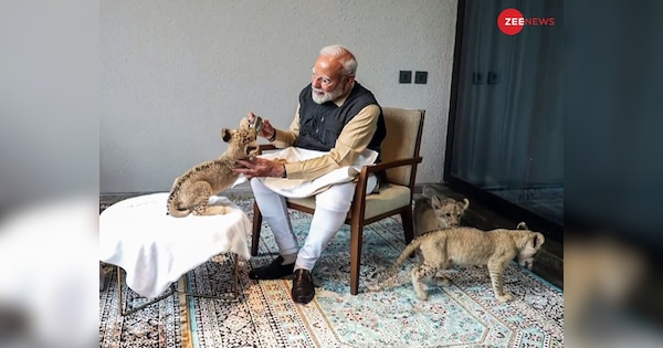 PM Modi spent time with animals in Vantara fed lion and leopard cubs ...