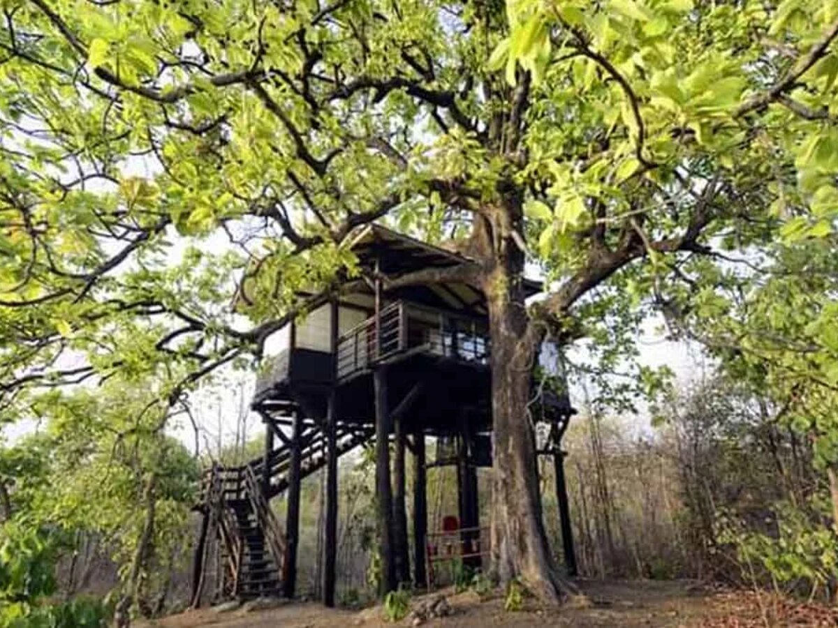 best places to visit around Shivpuri make plans with family george ...