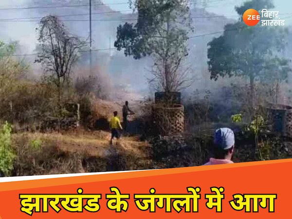 summer havoc has started many forests of Jharkhand are in huge fire ...