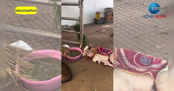 Bidusmita Viral Video: ସୋସିଆଲ ମିଡିଆରେ ଏପରି ଭିଡିଓ ଛାଡ଼଼ିଲେ ଓଡ଼ିଆ ...