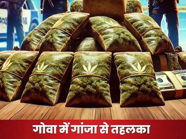 biggest drug bust in goa hydroponic weed seized arrest | साढ़े 11 करोड़ ...