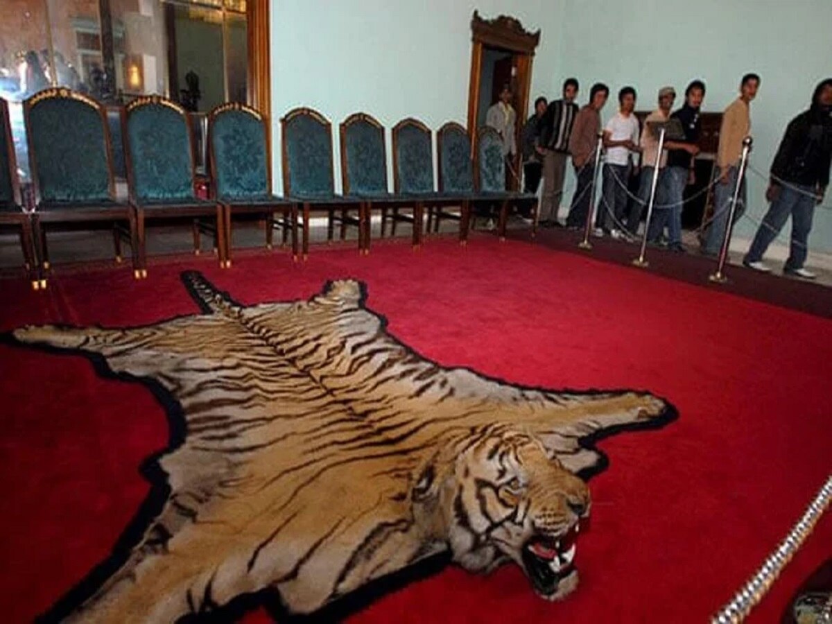 The Last King of Nepal who live in Narayanhiti Palace with Golden Rath ...