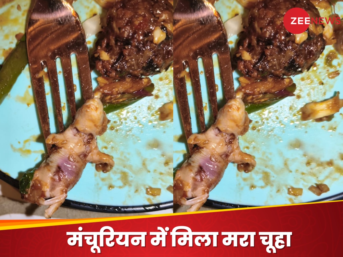 Viral News navi mumbai dead baby rat found in manchurian at Airoli ...