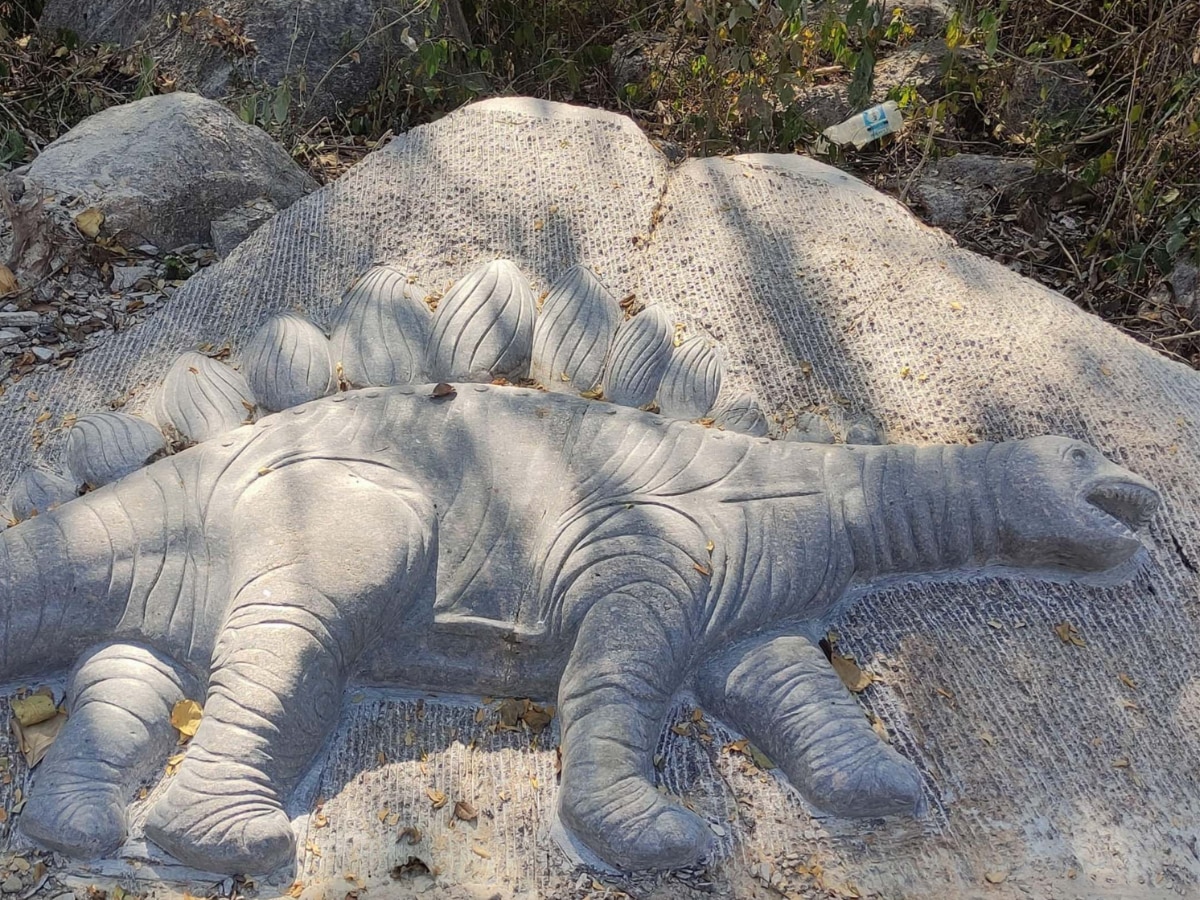 chhattisgarh jurassic rock garden is being built in manendragarh where ...
