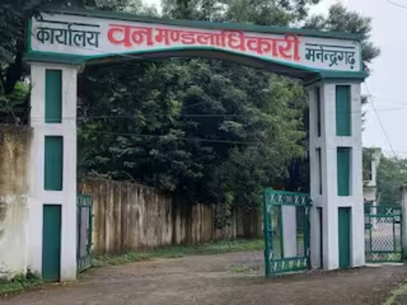 chhattisgarh jurassic rock garden is being built in manendragarh where ...