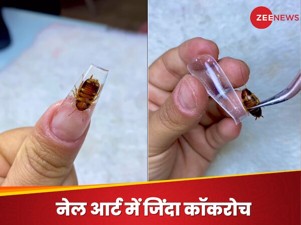 Video Nail Art With Cockroach Stuffed Inside Goes Viral Leaves Netizens ...