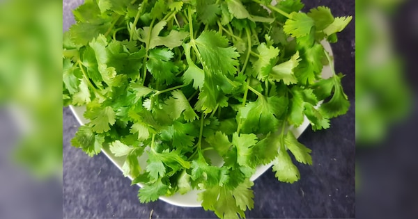How to store dhaniya| Tips To keep coriander leaves green| Dhaniya ko ...
